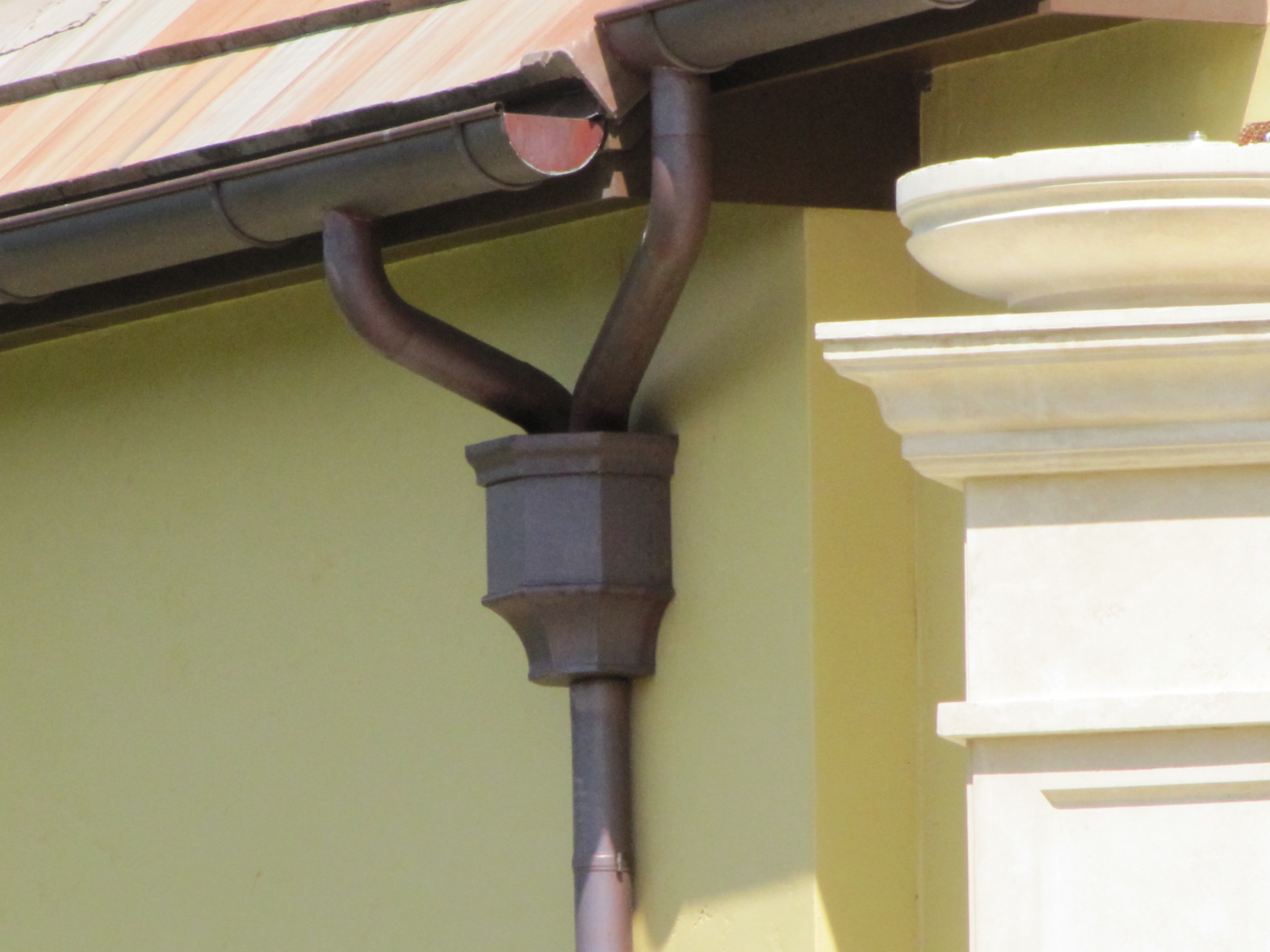 CHARLESTON STYLE LEADER HEAD